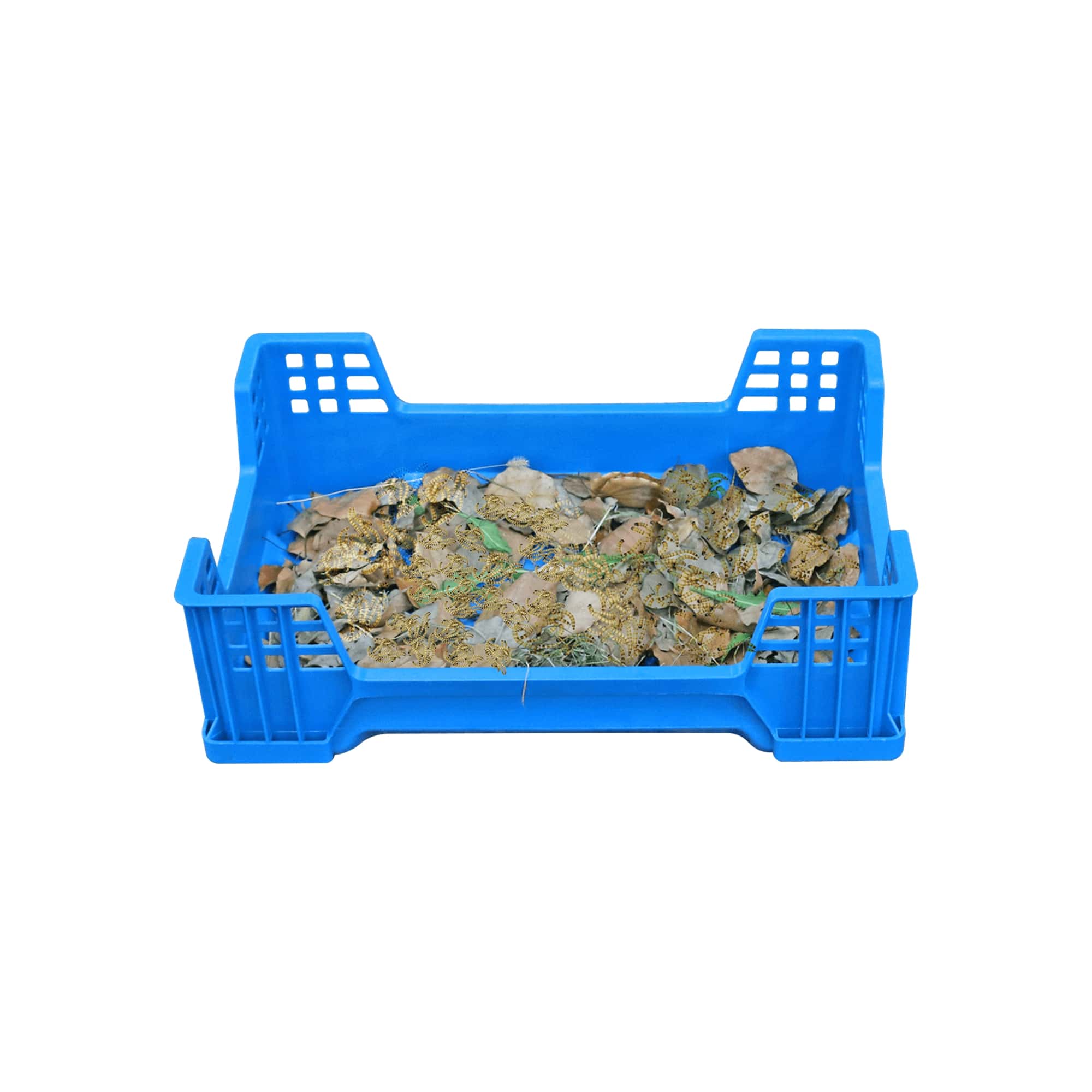 Insect breeding box for sale, Insect Feeding Boxes wholesale